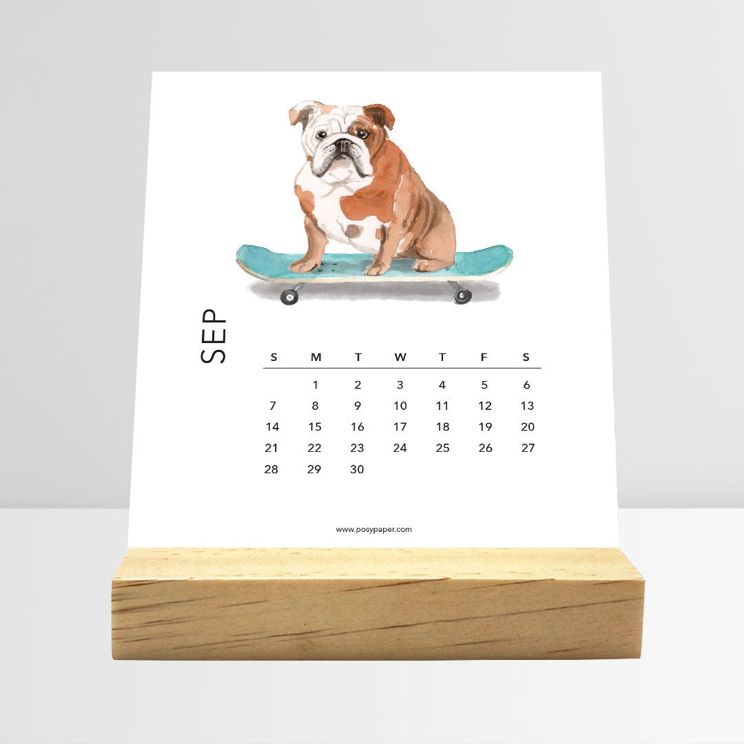 For Dog Lovers Everywhere | 2026 Dog Breeds Desk Calendar 🐾